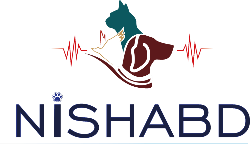 Raising Voice for Stray Dogs | NGO for Voiceless | Nishabd